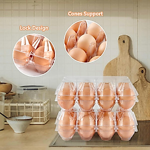 YIFIHGE 60 Pack Egg Cartons Cheap Bulk 1 Dozen Jumbo Egg Cartons Extra Large Duck Egg Cartons with Sticker Labels Clear Empty Plastic Egg Containers for Home Ranch Farm Commercial Market Display