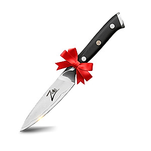 Zelite Infinity Japanese Paring Knife 4 Inch, Paring Knives, Fruit Knife, Pairing Knife, Small Knife - Japanese AUS-10 Super Steel 67-Layer Damascus Knife - Razor Sharp Knife - Superb Edge Retention