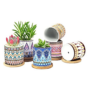 Feoxialy Succulent Plant Pots 6 Pack with Drainage 3.1 Inch Cylinder Flower Pots Small Ceramic Pots for Plants Indoor&Outdoor Garden Flower Planter Tray for All House Plants/Succulents/Flowers/Cactus