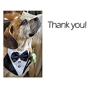 Bow Tie Dog Collar, iToolai Adjustable Collar Wedding Bandana for Small Medium Large Dog Boy(Black Strips, Large)