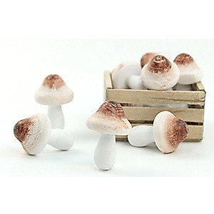 Meyer Imports Mini Wooden Mushroom Decoration (6 Piece) - Miniature Mushrooms for Fairy Garden Art/Crafts/Dollhouse/Figurines Decor - Natural
