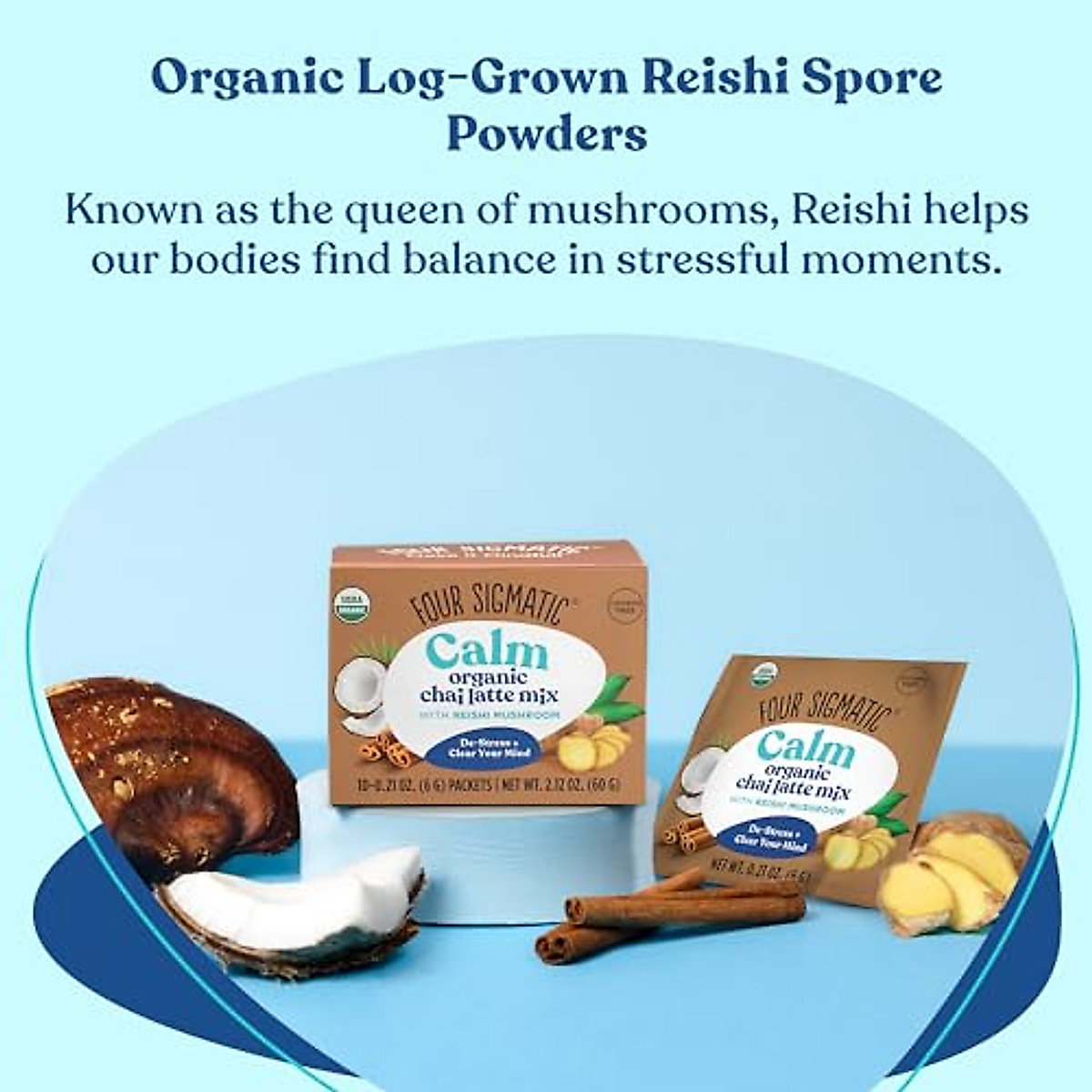 Chai Latte by Four Sigmatic | Organic Instant Chai Latte with Turkey Tail, Reishi Mushrooms & Coconut Milk Powder | Supports Gut & Digestion Health | Decaf, No Dairy & Gluten-Free | 10 Count