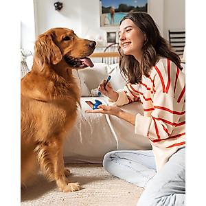 Paw Ready Pet Toothbrushing Assistant for Dogs and Cats Allows You to Brush Your pet’s Teeth Without Constantly Worrying About Getting Bitten Medium Size for Pets Between 15-85 lbs. (7-38.5 Kg)