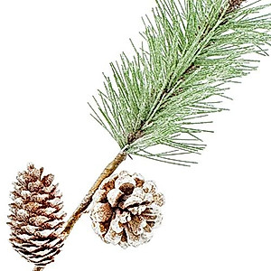 AuldHome Pine Cone Picks (6-Pack); Frosted Evergreen Christmas Decor Floral Stems for Wreaths, Vases and Holiday Arrangements