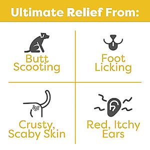 Doc Itchy: Allergy Armor Itch Defense Dog Pet Chews | Clinical-Strength Medical Zinc + P.E.A. | Vit E & Rosemary Extract | Reduce Itch & Pain Suffering | Control Allergy | Food Allergy Safe | 90 count