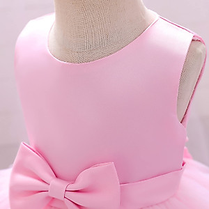 Flower Baby Girl Lace Dress Toddler Tulle Sleeveless Bow Princess Party Wedding Pageant Bridesmaid (Pink.4-5 T)