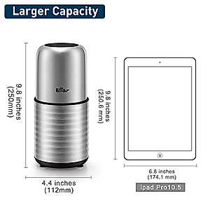 Bear Coffee Grinder, Spice Grinder, 300W Powerful Electric Herb Grinder with 200g Removable Cup for Spices, Pollen, Herb,and Coffee Beans, with Cleaning Brush