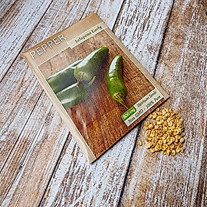 Hot Pepper Seeds (Organic) - Jalapeno Early - 1/4 Pound - Vegetable Seeds, Heirloom Seed, Organic Seed Easy to Grow & Maintain, Container Garden