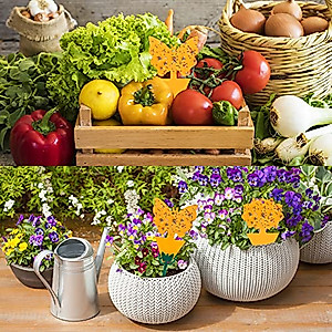 36 Pcs Gnat Sticky Traps for Plants, Fungus Gnat Sticky Trap Fruit Fly Traps for Indoors Orange House Plant Bug Sticky Gnat Killer Indoor, Flying Insect Traps Indoor and Outdoor Gnats Trap