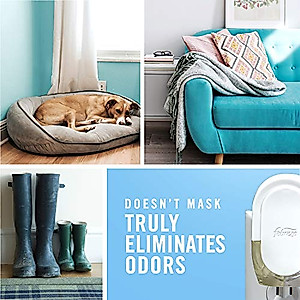 Febreze Plug in Air Fresheners, Downy April Fresh & Gain Original Scent Variety Pack, Odor Eliminator for Strong Odor (6 Refills Total)