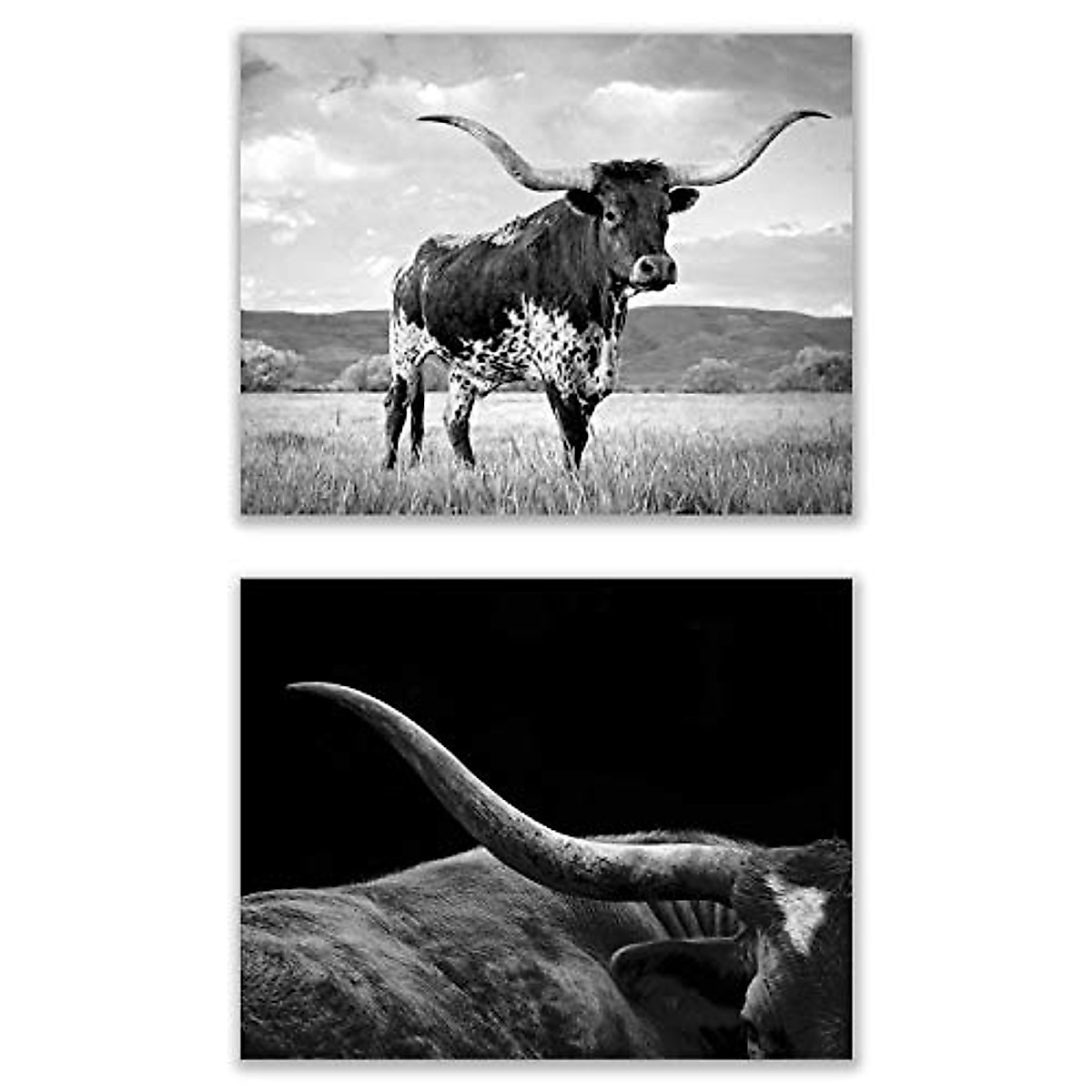 Black and White Texas Longhorn Prints - Set of 2 (11x14 Inches) Glossy Minimalist Monochromatic Barn Farm Cow Western Rustic Farmhouse Wall Art Decor