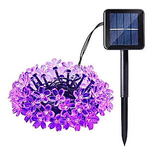 Qedertek Solar String Lights, Cherry Blossom 22ft 50 LED Waterproof Flower Outdoor String Lights for Patio,Lawn,Garden,Holiday,Halloween Solar Lights,and Festivals Decorations (Purple)