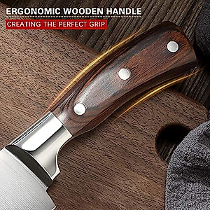 Professional Chef Knife 8 Inch, Kitchen Knife Made of AUS-10V Super Stainless Steel, Chefs Knife with a triple-riveted Ergonomic Handle,Sharp Cooking Knife with Gift Box