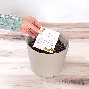 2024 Wall Calendar, Bella Flora Pockets Plus Wall Calendar, 12-Month Calendar, Spiral Desk Calendar Monthly Pocket, by Studio Oh! - Bella Flora (Floral Calendar)