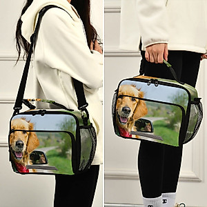 Kigai Golden Retriever Reusable Lunch Bag Insulated Eco-friendly Coole Waterproof Lunch Tote Bag with Detachable Shoulder Strap for Men Women Office Picnic Trip
