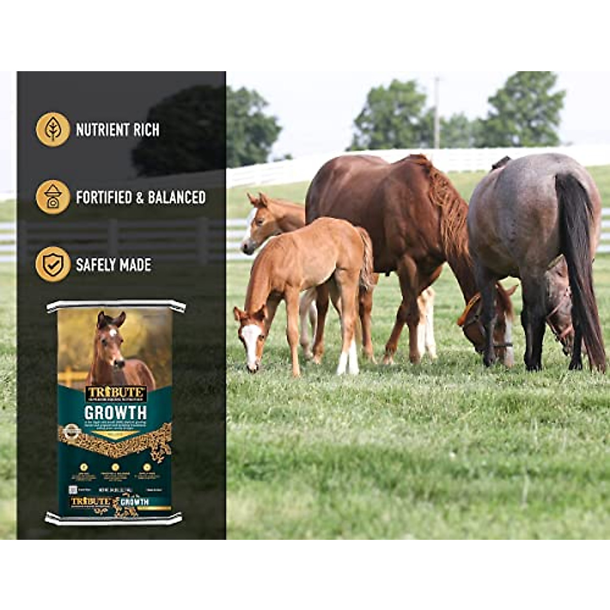 TRIBUTE Kalmbach Feeds Growth Pellets for Horse, 50 lb