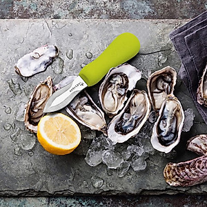 ICESAGOO Oyster Shucking Knife and Glove Kit - Clam and Oyster Knife Shucker Set with Stainless Steel Seafood Opener Tool(2knifes+1Glove+1Cloth)