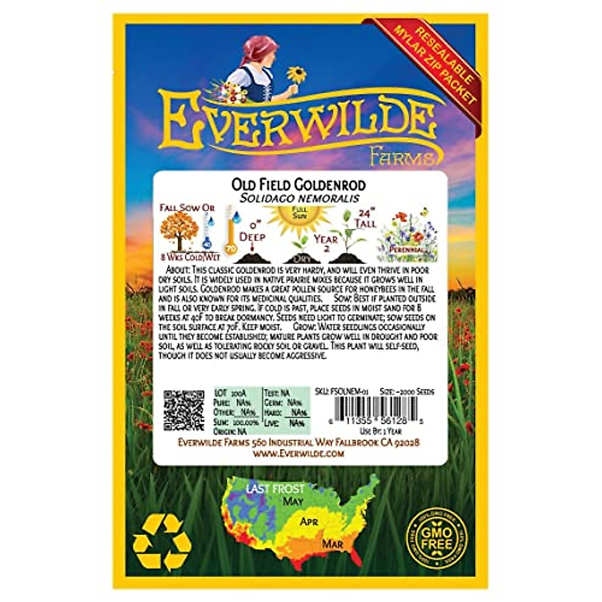 Everwilde Farms - 2000 Old Field Goldenrod Native Wildflower Seeds - Gold Vault Jumbo Seed Packet