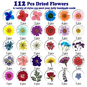 LUCISKY 152 Pcs Dried Pressed Flowers for Resin and Nails, Real Natural Flowers Leaves and Butterfly Stickers for Jewelry Soap and Candle Making