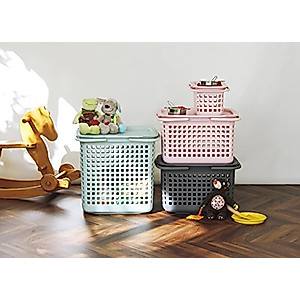 Hachimankasei 234906 Sceltevie Cestino Basket S, RD 5L, Red, S Size: 5L