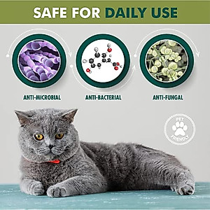 Pro Pet Works All Natural Soap Free 5 in 1 Oatmeal Dog Shampoo and Conditioner-Sulfate Free for Dandruff Allergies & Itchy Dry Sensitive Skin-Puppy Grooming for Smelly Dogs -17oz