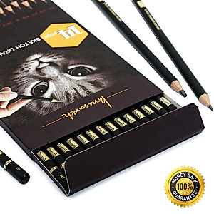 Brusarth Professional Drawing Sketching Pencil Set - 14 Pieces Graphite Pencils, Ideal for Drawing Art, Sketching, Shading, Artist Pencils for Beginners & Pro Artists