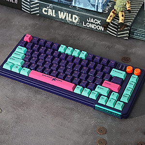 Shurikey 75% Wireless Mechanical Keyboard, Compact 81 Keys Wired Gaming Keyboard (Varmilo EC V2 Sakura Switch) for Windows Mac OS Android, White LED Backlit - Saizo 003