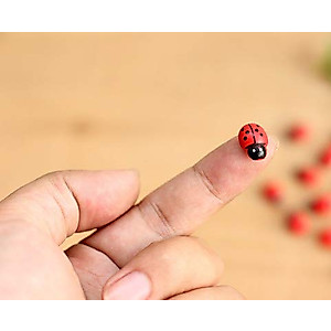 100 pcs Wooden Ladybug Garden Stones - Decorative Outdoor Ornaments - Garden Decoration for Vegatable and Flower Beds
