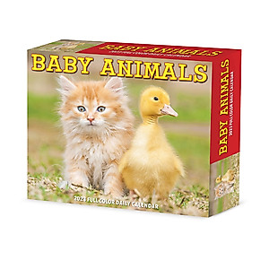 Baby Animals 2023 Box Calendar