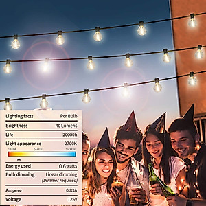 Pallerina LED Replacement Light Bulbs, Shatterproof Dimmable Globe Bulbs for Indoor Outdoor Patio Decor,0.6W Per Bulb,Warm White (G40 Clear Light Bulbs, 25 Pack)