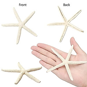 gopiter 12 PCS Starfish | 2.5-6 Inch Starfish Decor | Natural Bulk Starfish Shells Perfect for Crafts Making Beach Theme Party Wedding Decoration, Home Wall Decor, Christmas Ornaments, Fish Tank