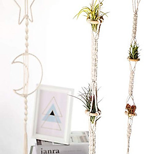 4 Pieces Air Plants Holders Air Plant Hanger Air Plant Wall Hanger Handmade Rope Hanging Air Plant Holder Woven Hanging Plant Hanger with 4 Hooks for Home Decoration