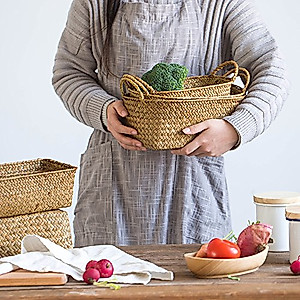 DOKOT Woven Baskets For Storage, Rattan Baskets With Handles For Kitchen, Wicker Baskets For Storage Organizer, Small Baskets for Fruits , Seagrass Baskets Set of 3