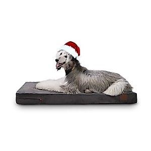 LaiFug Orthopedic Memory Foam Pet(46"x 28"x 4",Slate Grey)/Dog Bed with Durable WaterProof Liner and Removable Washable Cover