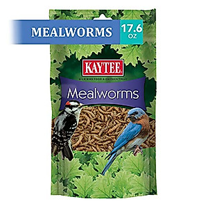 Kaytee Wild Bird Food Mealworms For Bluebirds, Wrens, Robins, Chickadees, Woodpeckers, Cardinals & Chickens, 17.6 Ounce
