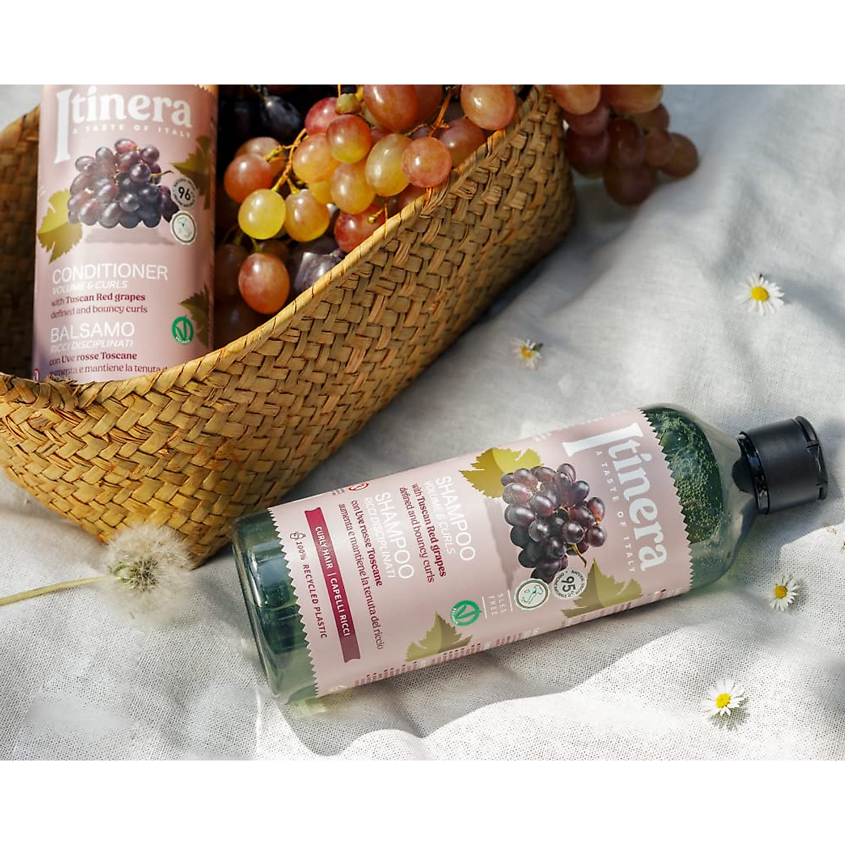 Itinera Tuscan Vineyards Gift Box with Volume & Curls Shampoo & Conditioner (2 x 12.51 fl oz) - For Curly Hair - Vegan Friendly - 95%+ Natural Origin Ingredients