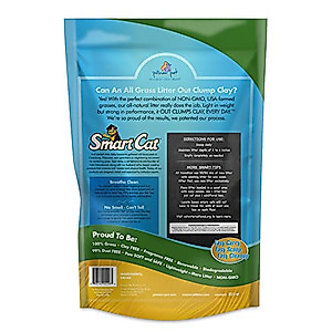 SmartCat All Natural Clumping Litter, 20-Pound (6506), (Pack of 1), 320 Ounce.