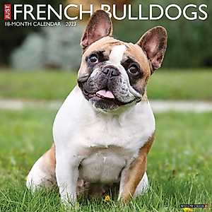 Just French Bulldogs 2023 Wall Calendar