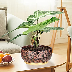 G EPGardening 8 Inch Terracotta Succulent Planter Pot with Drainage Hole Round Shallow Bonsai Planter Pot with Bamboo Saucer Flower Pot for Indoor Plants Black