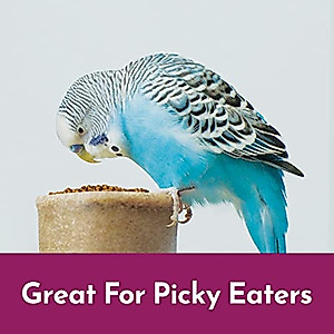 Kaytee Nutri Soft Pet Parakeet & Cockatiel Bird Food, 2 Pound