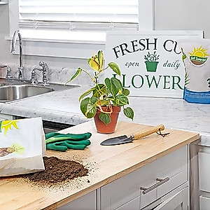 Philodendron Plant Potting Soil Mix (8 Quarts), Special Blend for Heart Shape Philodendron Plants Et Al.