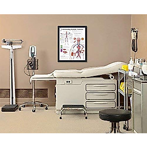 Understanding Metabolic Syndrome Framed Medical Educational Informational Poster Diagram Doctors Office School Classroom 22x28 Inches