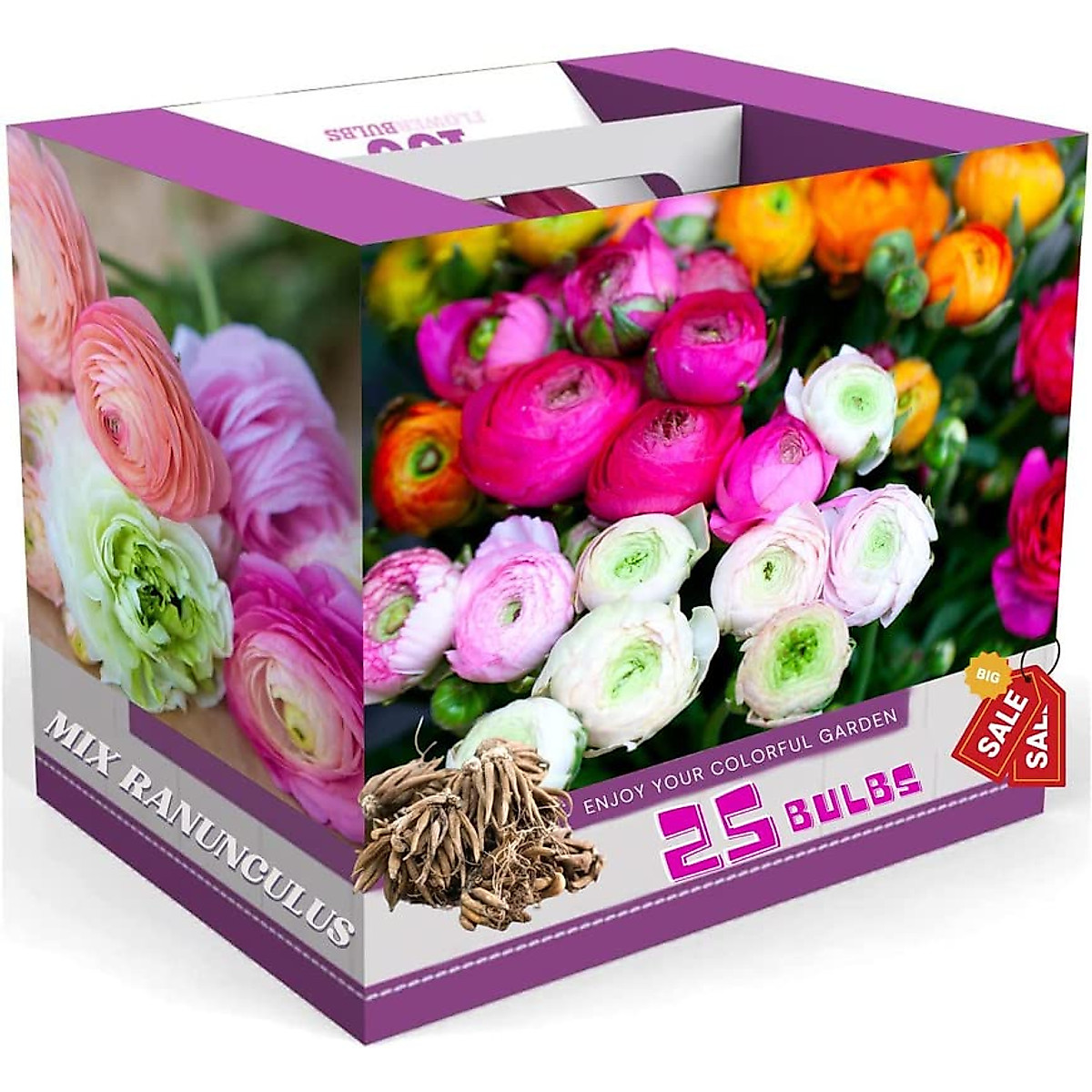 Ranunculus Bulbs for Planting, 25 Mix Ranunculus Corms Bulk Butterfly Ranunculus Flowers Bulbs Peony, Large Size