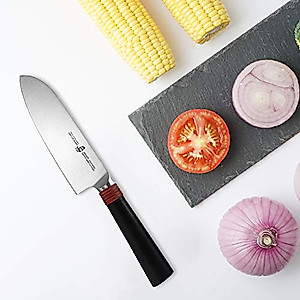 TUO Santoku Knife 5.5 inch Small Kitchen Knife Pro Asian Chef Knife Cooking Knife for Vegetable Fruit and Meat, AUS-8 Stainless Steel with Comfortable Handle, Gift Box Ring Lite Series