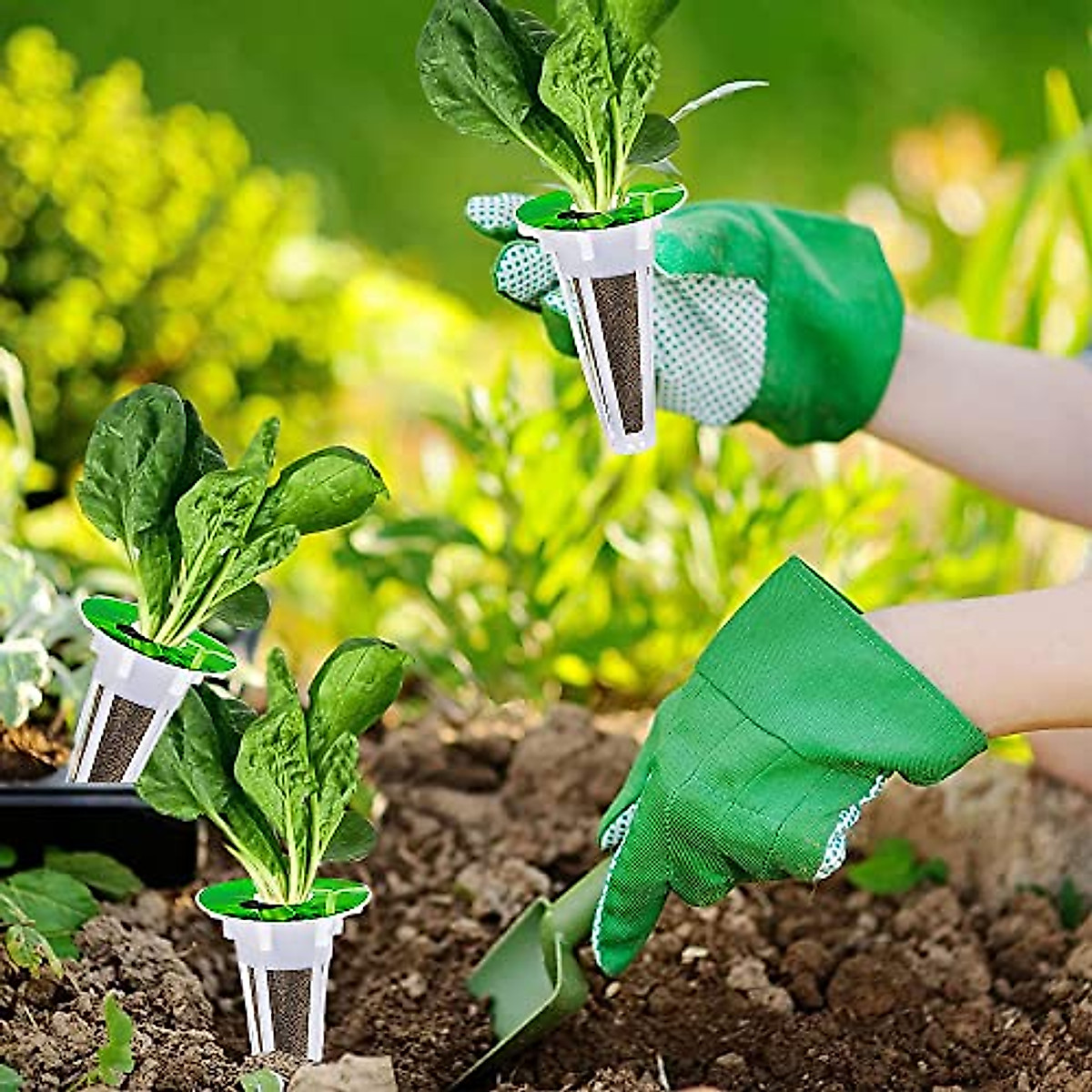 Anyangjia Seed Pods for AeroGarden,120P Hydroponic Garden Accessories Hydroponics Supplies (120P)