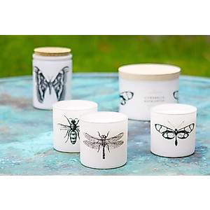 Skeem Citronella Sea Salt Votive Scented Candles - Set of 3 White Votive Candles - 50 Hour Burn Time - Made in The USA