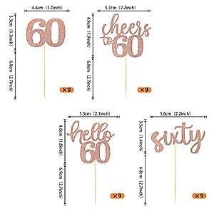 36 Pack 60th Birthday Cupcake Toppers Rose Gold Glitter Cheers to 60 Cake Toppers Hello 60 Sixty Cupcake Picks Decorations for 60th Birthday Anniversary Party Supplies