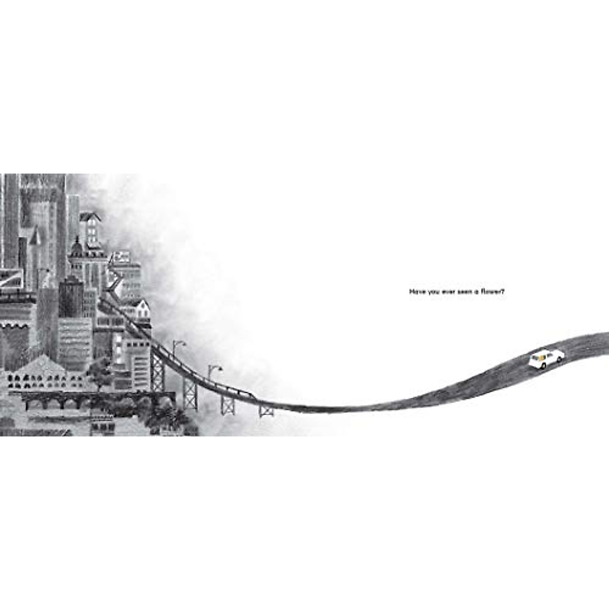 Have You Ever Seen a Flower?