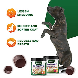 Primova Pet Products - Probiotic Dog Chews for Dog Digestive Enzymes - Dog Diarrhea & Natural Allergy Relief - Puppy Probiotic Chews - Dog Allergy Chews - Pack of 120 Chews