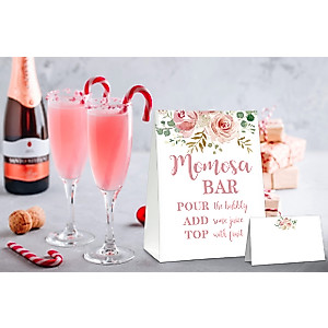 Momosa Bar Supplies Kit - Floral Momosa Bar Sign - Blush Pink Table Place Cards - Bridal Shower, Graduation Party, Bubbly Bar, Mimosa Bar, Birthday Brunch, Engagement Party Decor(01)